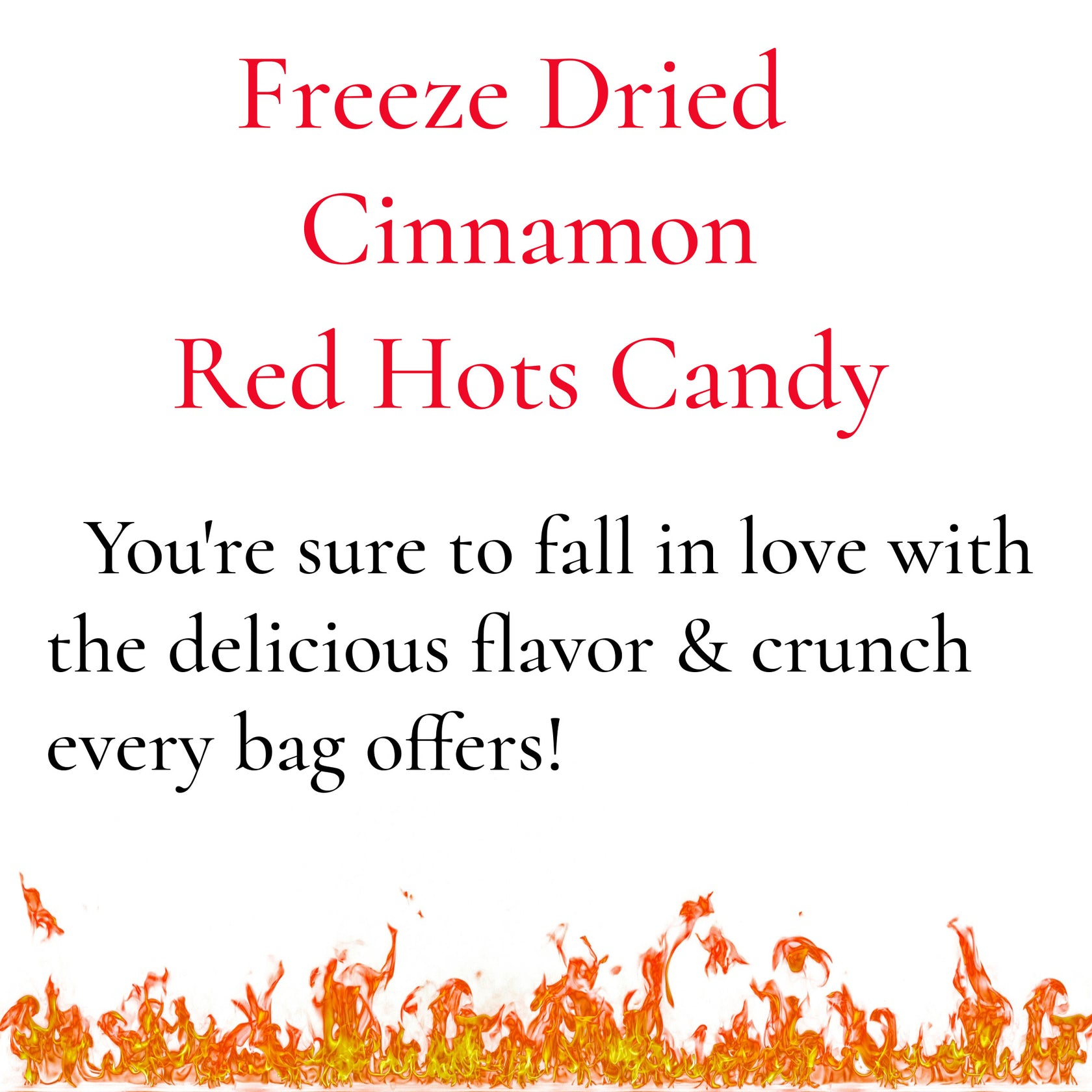 Freeze Dried Cinnamon Hots Candy – Honeybear Party Boutique
